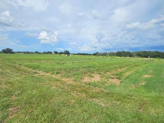Mineral Branch Rd, Zolfo Springs, FL 33890