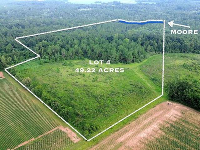 Mineral Springs Rd Lot 4, Jay, FL 32565