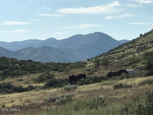 Miners Pick Rd Unit 4, Mayer, AZ 86333