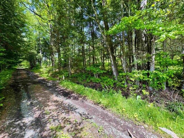 Mink Hill Rd, Bradford, Plot For Sale