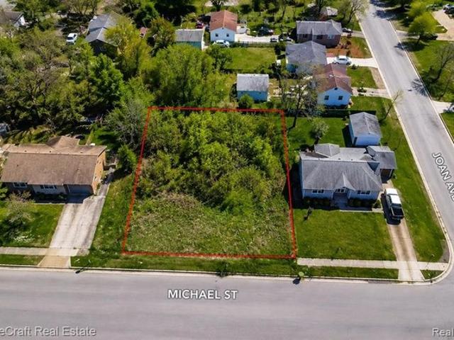 Michael, Taylor, MI 48180