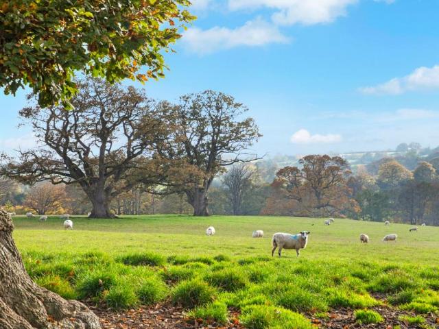 Michaelchurch Estate, Michaelchurch. Farm land to rent £1,557 pcm £359 pw