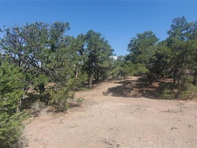 Michaels Rd Lot 1412, Fort Garland, CO 81133