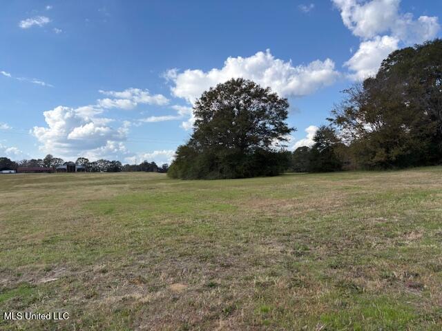 Midway Odom Road, Forest, MS 39074