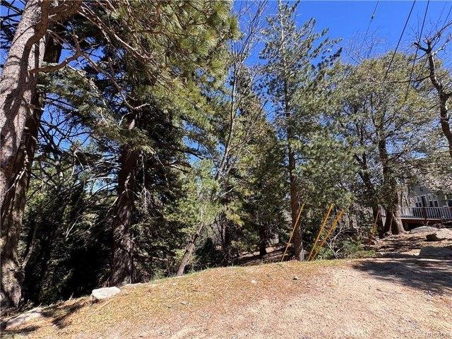 Mid Ln, Twin Peaks, CA 92391