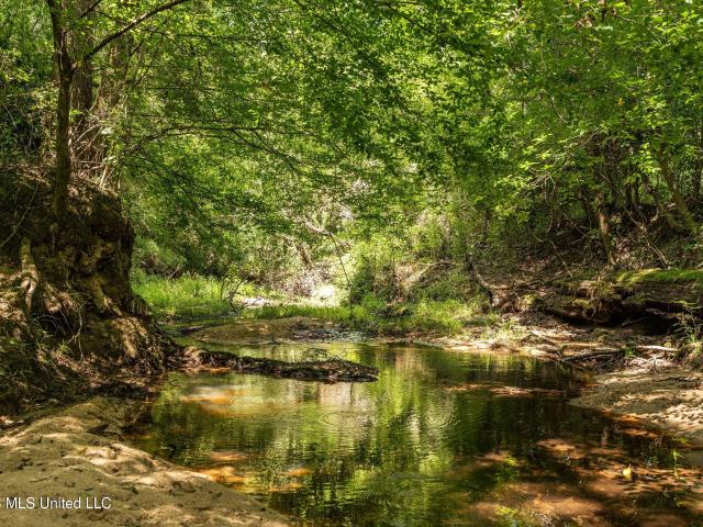 Middle Glading Road, Magnolia, MS 39652