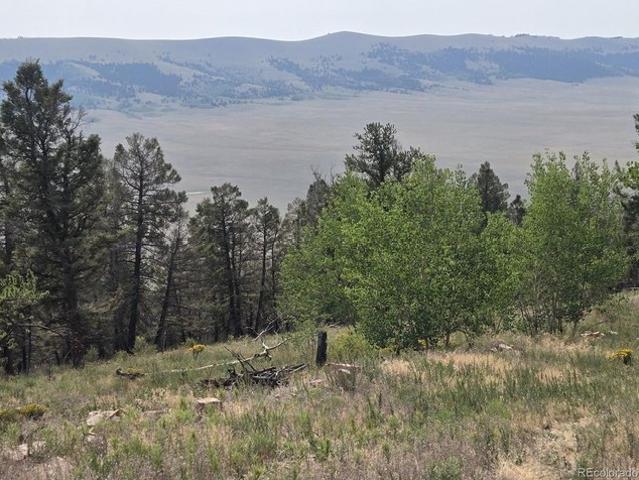Middle Fork Vis Lot 525, Fairplay, CO 80440
