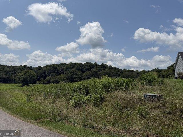 Middle Fork Ln Units 2 & 4, Carnesville, GA 30521