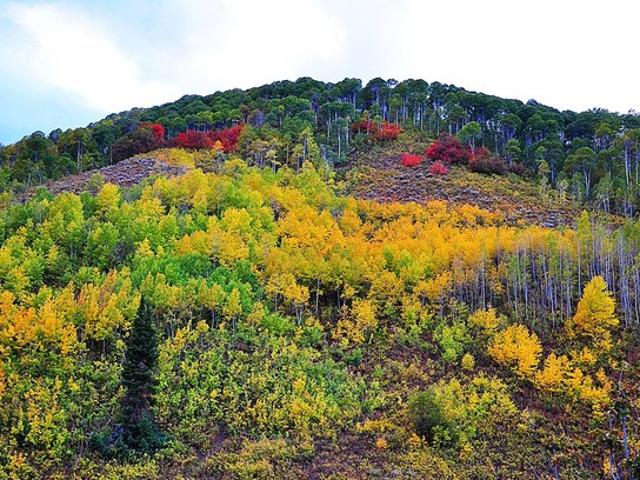 Middle Fork / Pine Canyon Rd, Huntsville, UT 84317