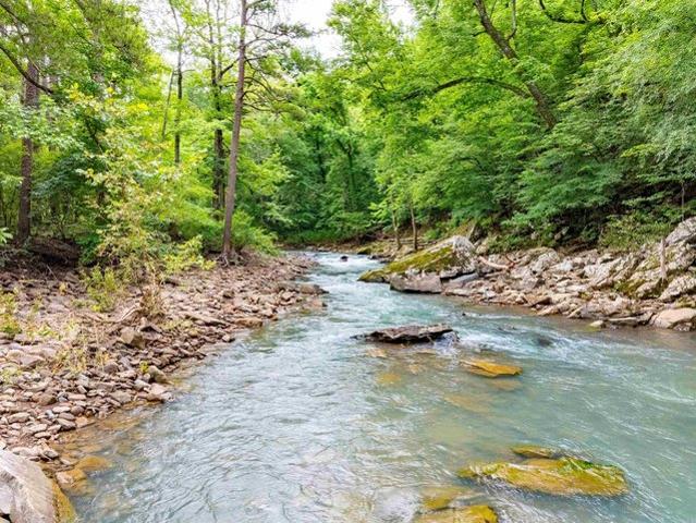 Middle Fork Rd, Hector, AR 72843