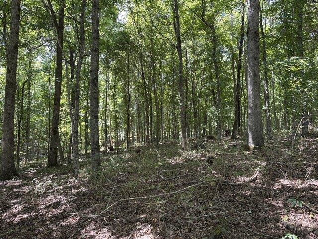 Middle Lick Creek Rd, Lyles, TN 37098