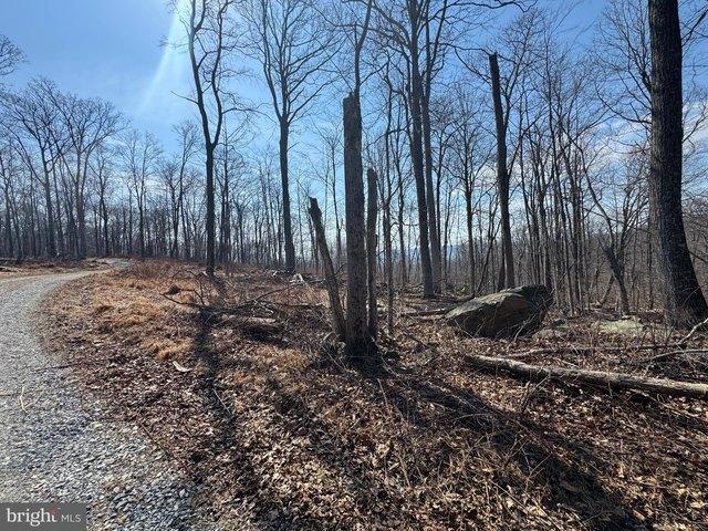 Middle Point Rd, Myersville, MD 21773