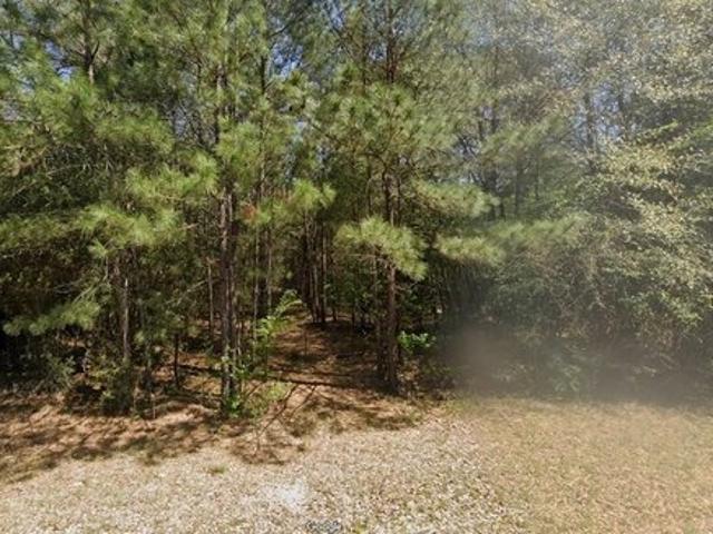 Middle Parkway Dr, Conroe, TX 77302