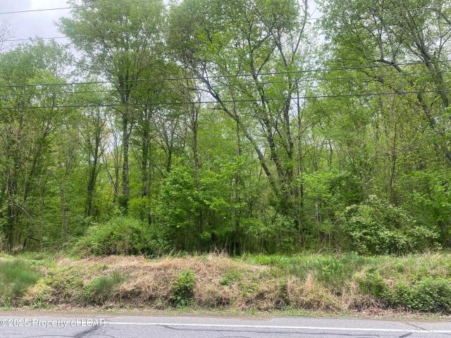 Middle Road