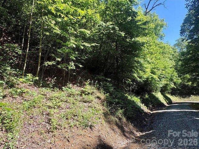 Middle Rdg Unit 38, Whittier, NC 28789