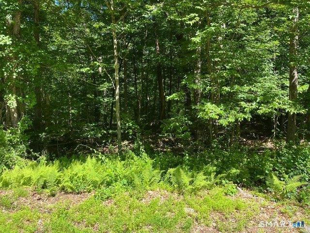 Middle Tpke Lot 24, Mansfield, CT 06250