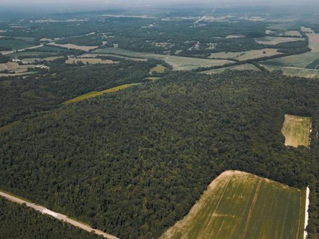 Middleburg Rd, Lexington, TN 38351