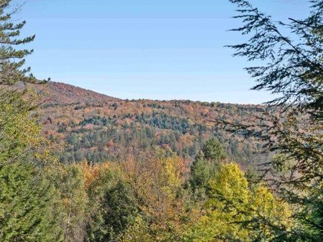 Middlesex VT 05602 102707693