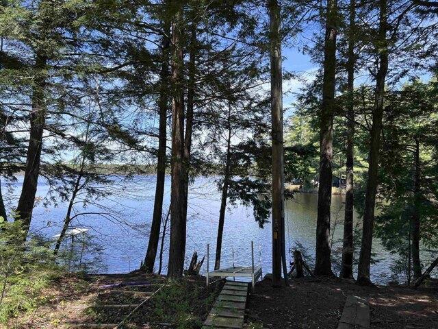 Milton NH 03851 105126055