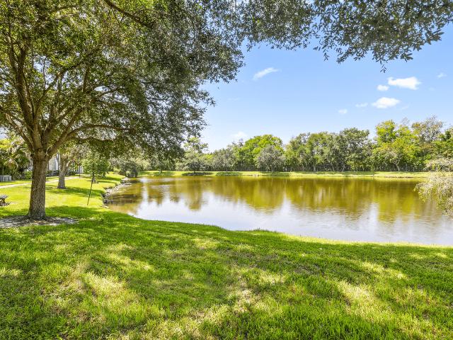 Milana Reserve Apartment Homes 1 Bedroom Apartment for Rent at 8730 N Himes Ave, Tampa, FL 33614