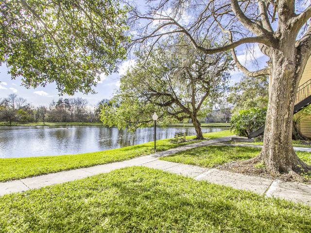 Milana Reserve Apartment Homes 2 Bedroom Apartment for Rent at 8730 N Himes Ave, Tampa, FL 33614