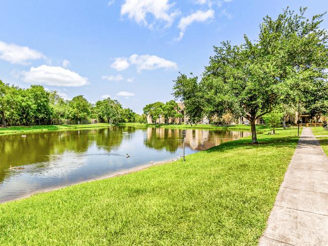 Milana Reserve Apartment Homes 2 Bedroom Apartment for Rent at 8730 N Himes Ave, Tampa, FL 33614