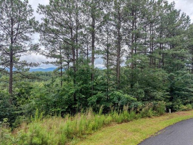Mile High Ln Lot 34, Blairsville, GA 30512
