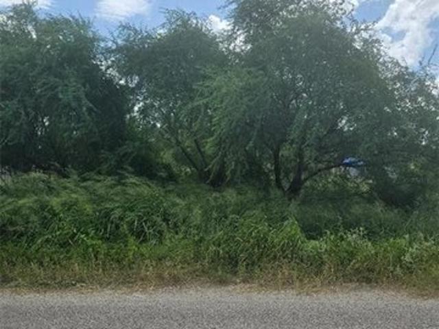 Mile 2 1/2 St N, Mercedes, TX 78596
