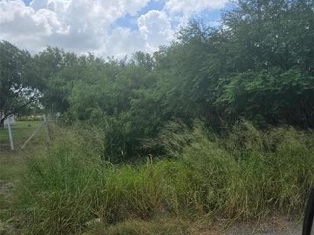 Mile 2 1/2 St, Weslaco, TX 78596