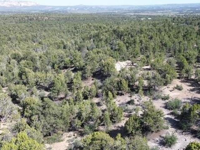 Mile 51 Highway 9 E Zion 40 Acres, Orderville, UT 84758