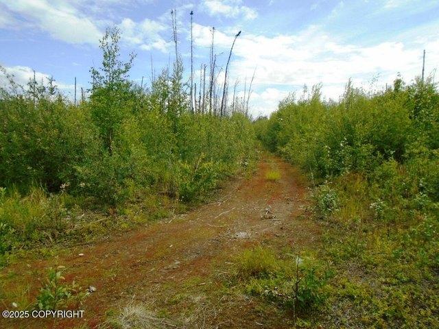 Mile 72 Parks Hwy, Willow, AK 99688