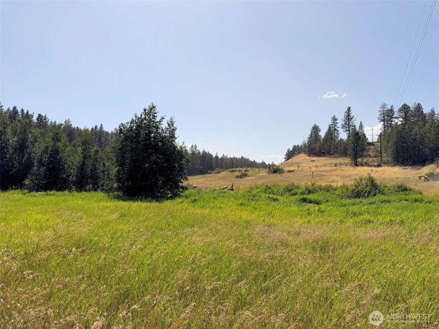 N Miles/Creston Rd, Creston, WA 99117