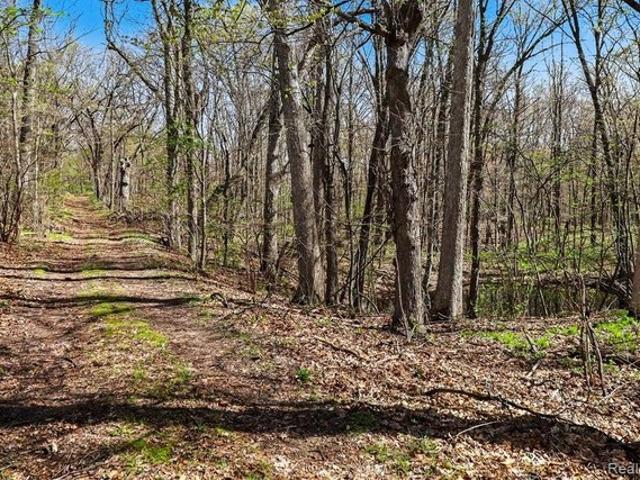 Milford Rd Parcel 3, Rose Township, MI 48442