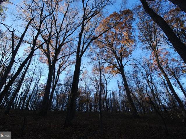 Mill Mountain Rd Lot 67, Romney, WV 26757