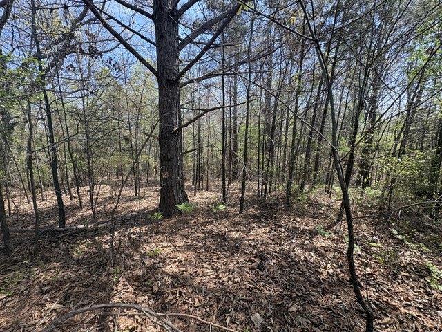 Mill Ave, Hohenwald, TN 38462
