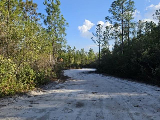 Mill Branch Club Rd # 1H, Pembroke, GA 31321