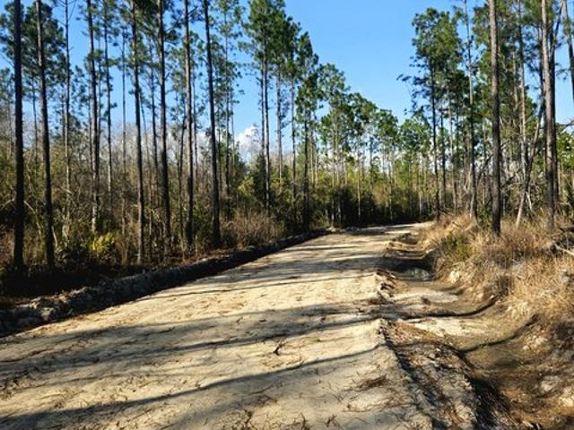 Mill Branch Club Rd # 1L, Pembroke, GA 31321