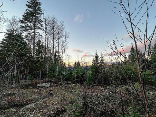 Mill Brook Rd Lot 16, Sandy River Plt, ME 04970