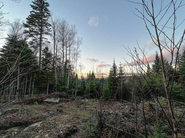 Mill Brook Rd Lot,sandy River Plt, Plot For Sale