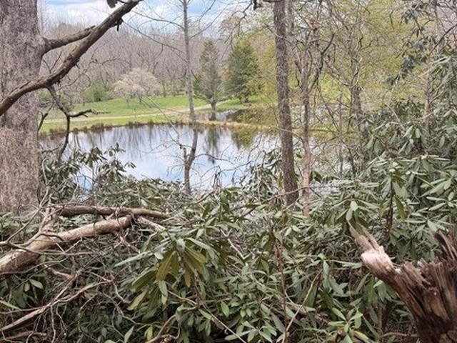 Mill Creek Holw Lot 9, Hayesville, NC 28904