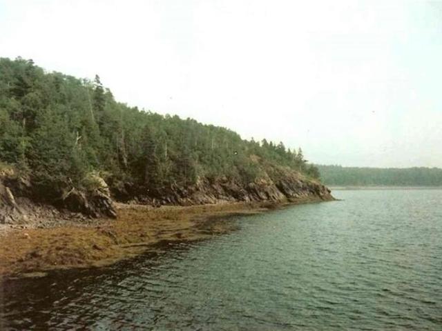 Mill Creek Ln, Lubec, Plot For Sale