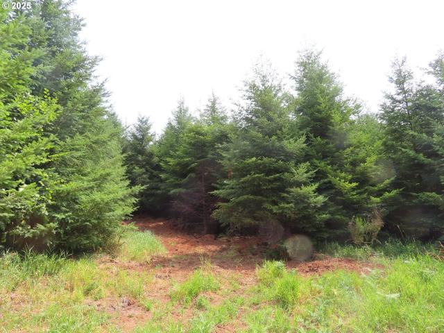Mill Creek Ln, Unit G, Longview, WA 98632 | MLS #226546