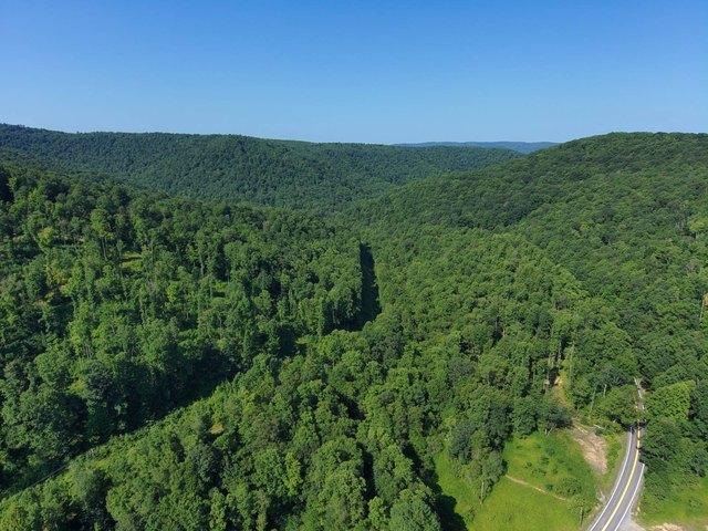 Mill Creek Rd, Mill Creek, WV 26280