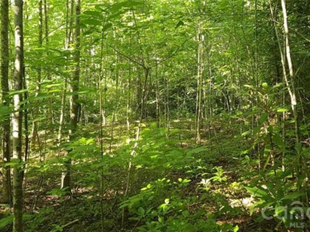 Mill Creek Rd Lot 19, Old Fort, NC 28762