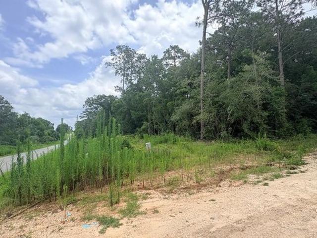 Mill Creek Rd Lot 1, Woodville, TX 75979