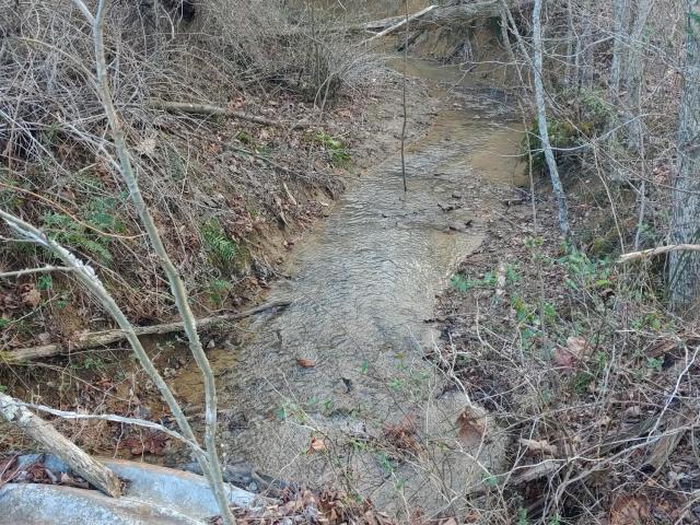 Mill Creek Rd, Sunbright, TN 37872