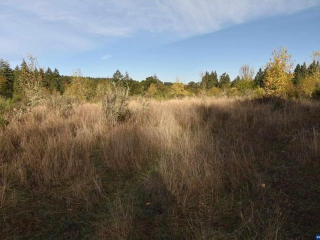 Mill Creek Rd, Sheridan, OR 97378