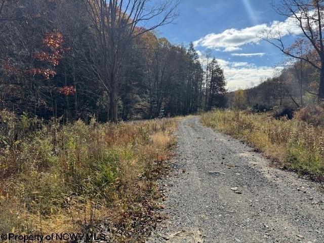 Mill Creek WV 26280 103625837