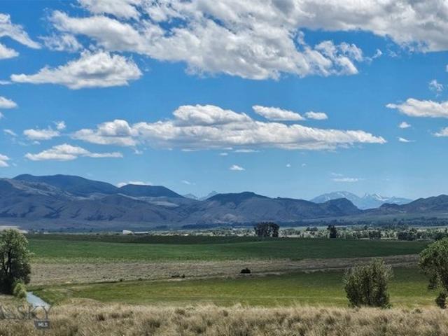 Mill Gulch Rd, Ennis, MT 59749