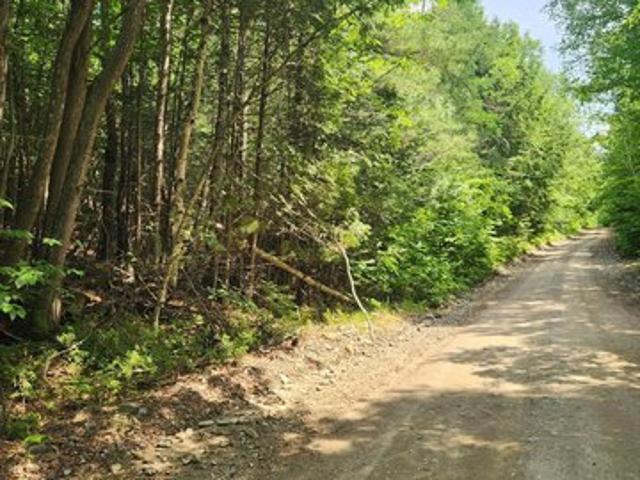 Mill Hill Rd Lot 44, Springfield, ME 04487
